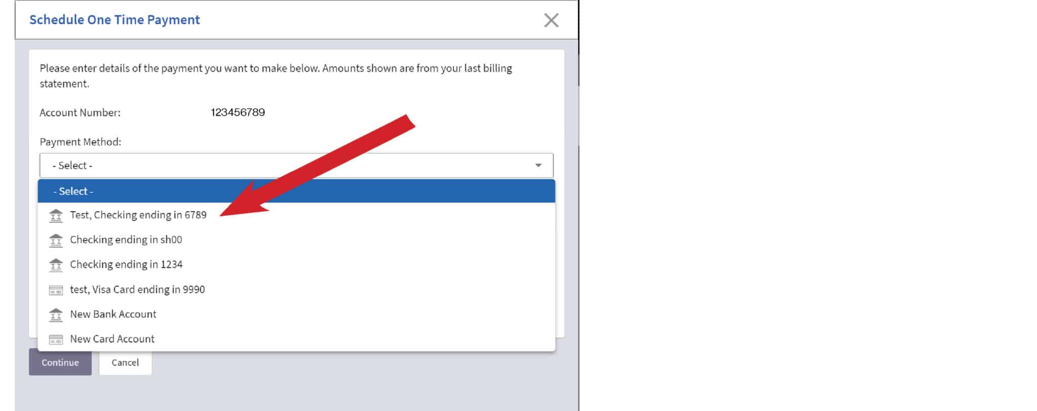 Schedule One Time Payment using the Loan Payment Center | Colorado ...